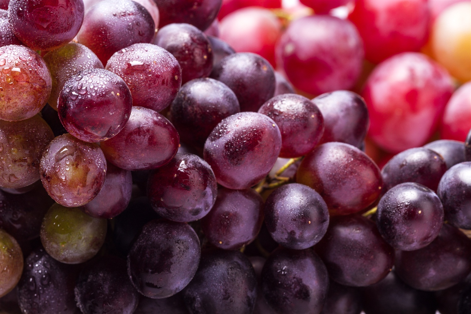 10 Fruits and Vegetables to Savor in August - Nutrition Adept